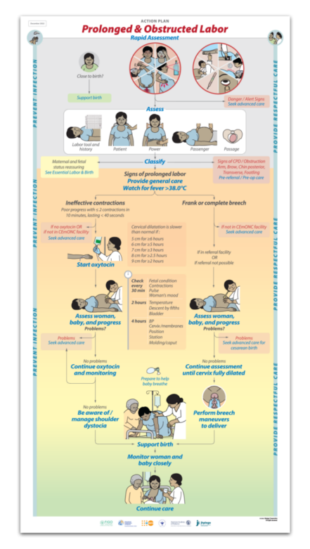 Action Plan – Prolonged and Obstructed Labor(Qty.5) - Helping Mothers ...